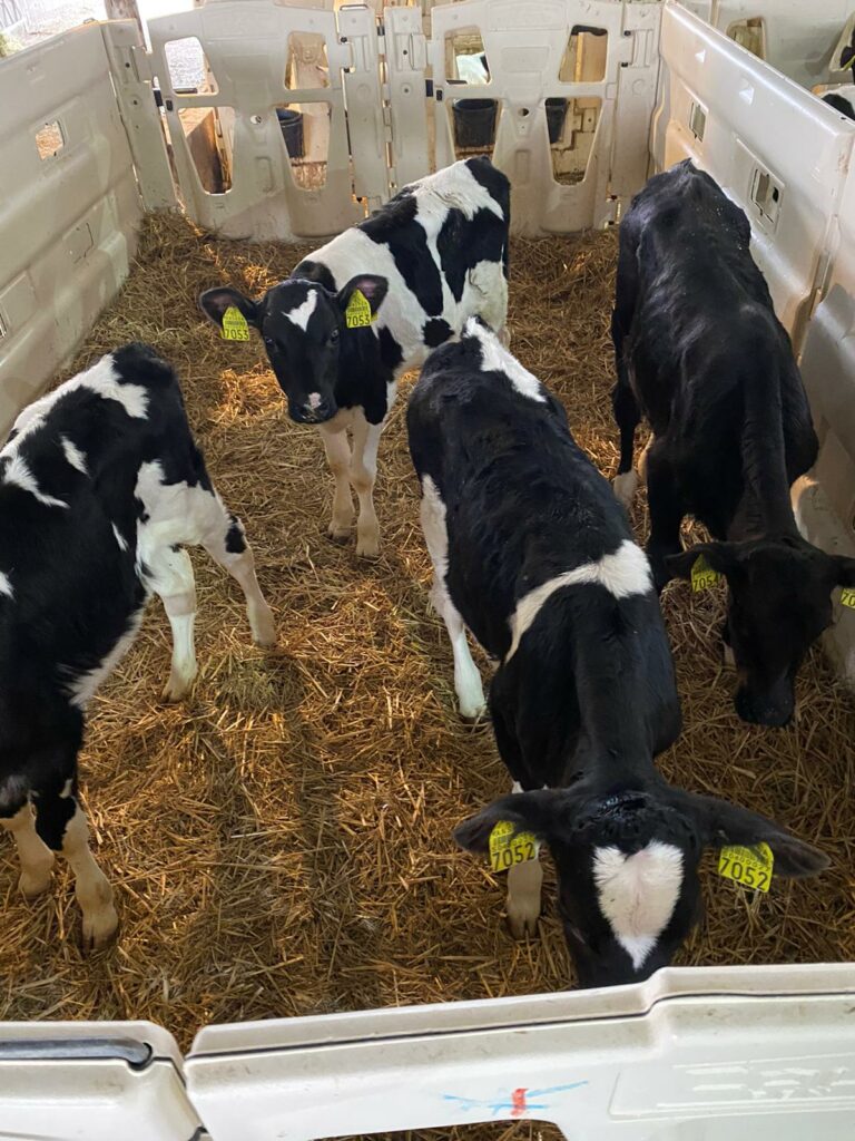 Regenerative Agriculture Knowledge Center | Best practices