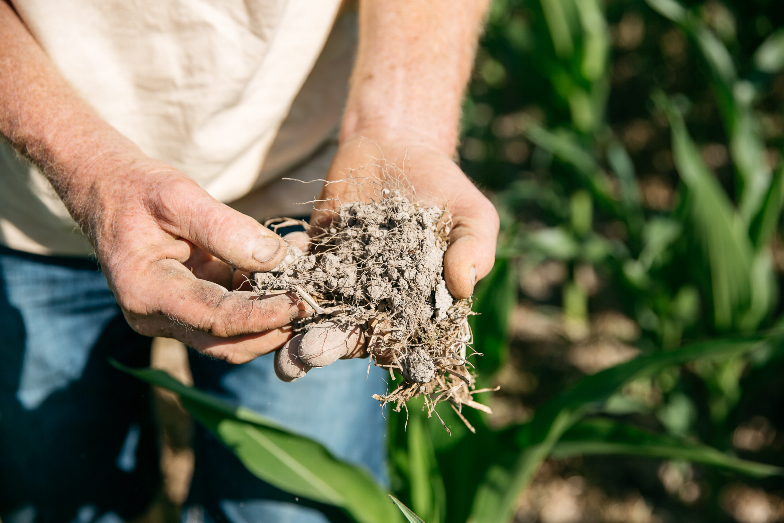 Regenerative Agriculture Knowledge Center